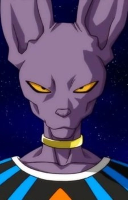 Beerus / Персонаж
